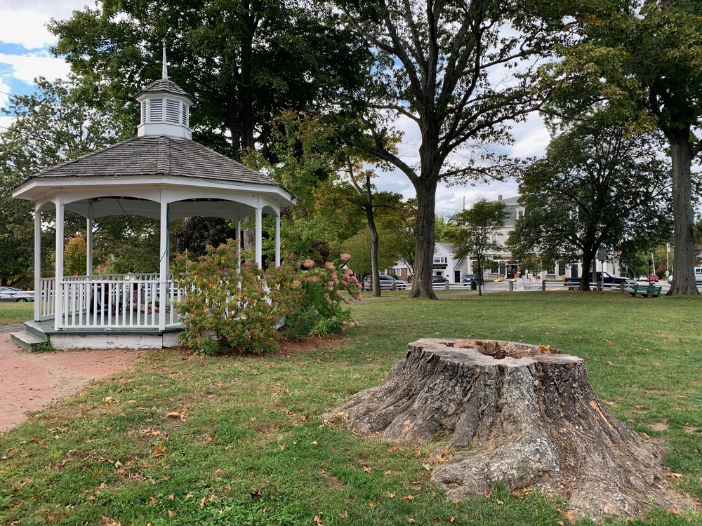 Grafton Common – Grafton Common